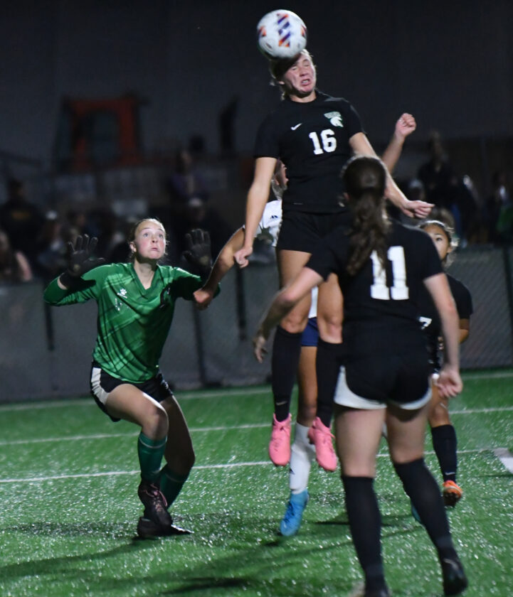 Elizabeth Wolfe propels Hughesville past Montoursville in District 4 ...